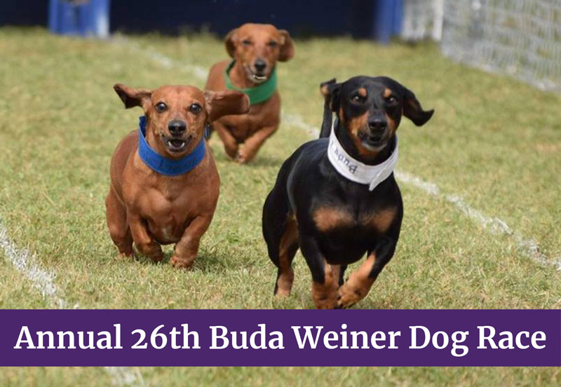 ARC Buda runs with the dogs at the 26th Annual Buda Weiner Dog Races ...